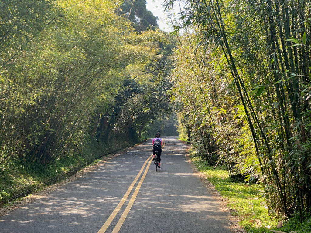 Five Cycling Routes to Explore Yangmingshan | Bike Express Taiwan